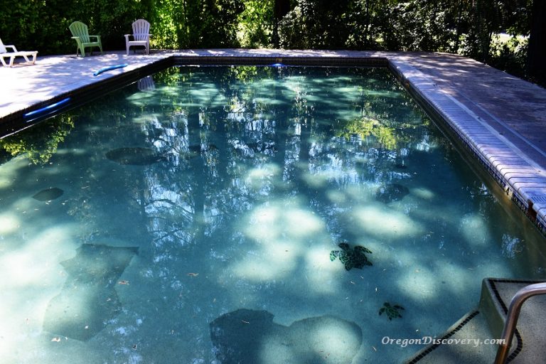 Belknap Hot Springs: Discover Scenic Mineral Oasis in the Cascades ...