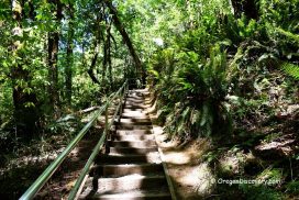 Lake Creek Falls & Slide Rock | Oregon Coast Range - Oregon Discovery
