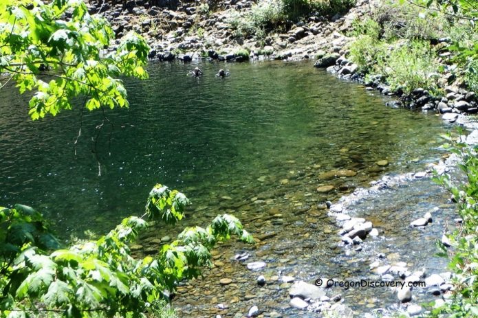 Wildwood Falls - Row River - Oregon Discovery