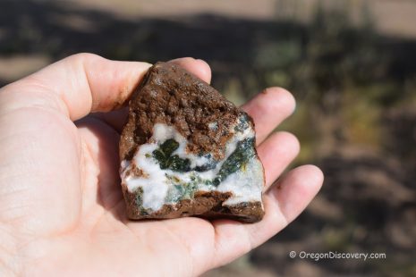 Hampton Butte: A Rockhound's Haven for Unique Green Petrified Wood ...