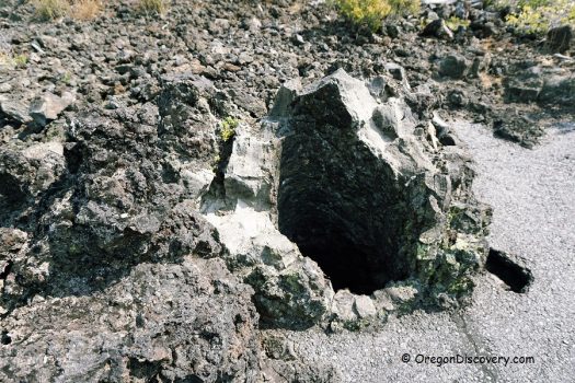 Lava Cast Forest - Newberry Volcano | Central Oregon - Oregon Discovery