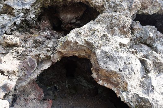 Lava Cast Forest - Newberry Volcano | Central Oregon - Oregon Discovery
