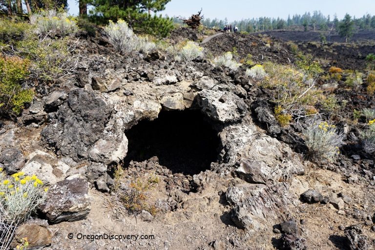 Lava Cast Forest - Hiking Through Ancient Lava Flows - Oregon Discovery