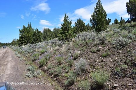 Glass Butte & Little Glass Butte: Unearthing Treasures of Obsidian ...