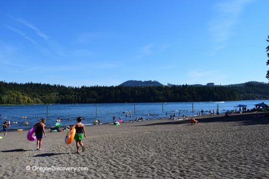 Lewis Creek Park - Foster Lake Swimming - Oregon Discovery