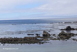 Simpson Reef & Shell Island | Oregon Coast - Oregon Discovery