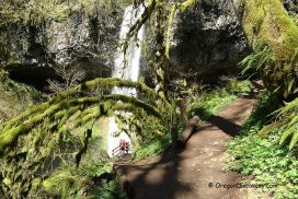 Shellburg Falls - Exploring the Hidden Beauty of the Santiam State ...