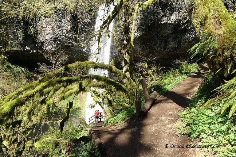 Shellburg Falls - Exploring the Hidden Beauty of the Santiam State ...