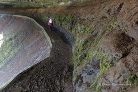Shellburg Falls - Exploring the Hidden Beauty of the Santiam State ...