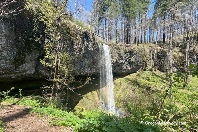 Shellburg Falls - Exploring the Hidden Beauty of the Santiam State ...