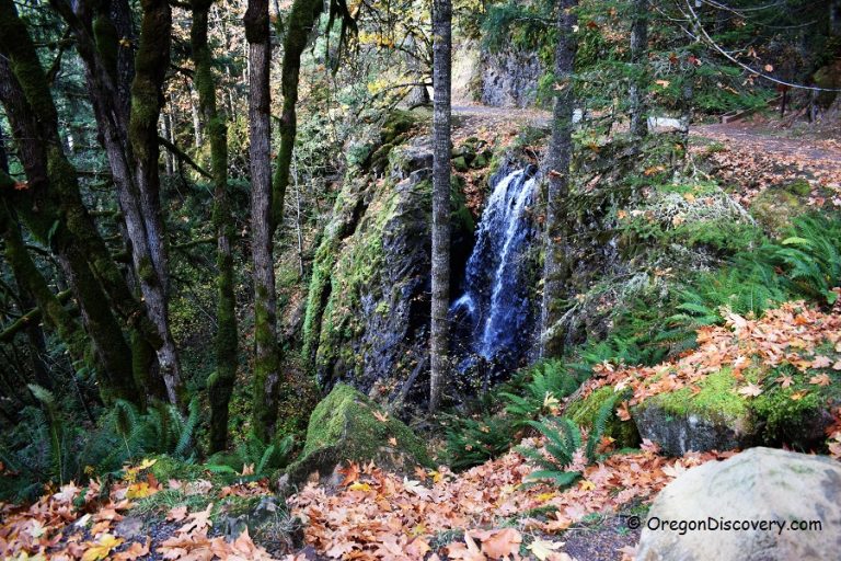 Shellburg Falls - Exploring the Hidden Beauty of the Santiam State ...