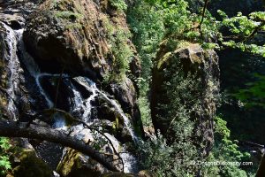 Shellburg Falls - Exploring the Hidden Beauty of the Santiam State ...