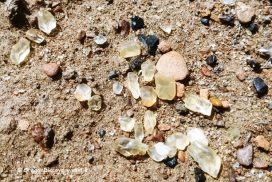 Oregon Sunstone Public Collection Area | Rabbit Basin - Oregon Discovery