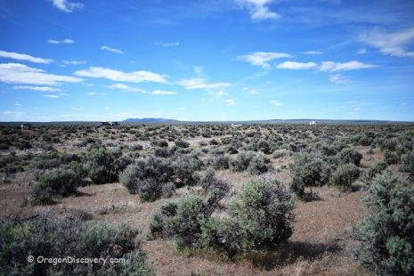 Free Digging for Oregon Sunstone - Public Collection Area - Oregon ...