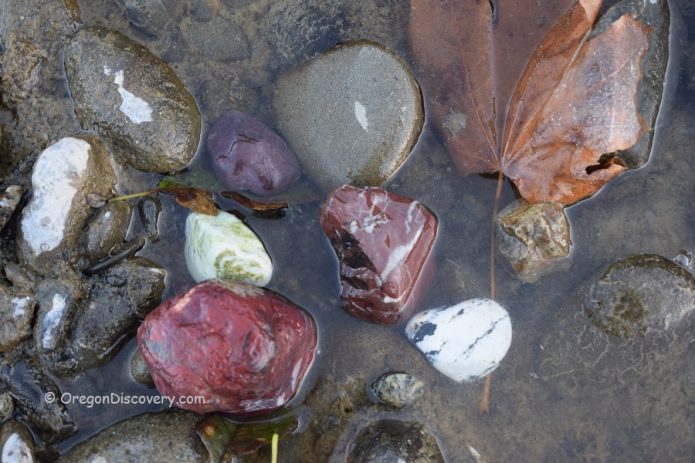 Chetco River: Rockhounding Adventures on the Oregon Coast - Oregon ...