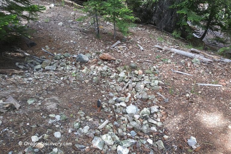 White Fir Springs: A Top Thunderegg Rockhounding Destination - Oregon ...