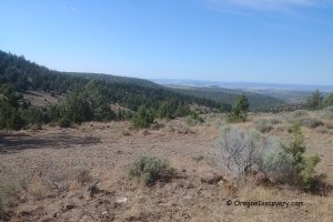 Dendrite Butte Rockhounding | Central Oregon - Oregon Discovery