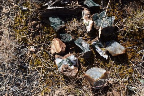 Hampton Butte Rockhounding | Central Oregon - Oregon Discovery