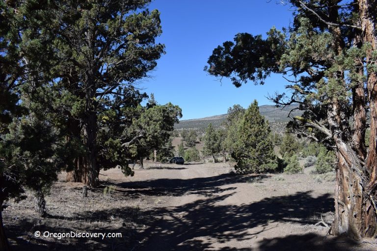 Fisher Canyon: Exploring the Rockhounding Area - Oregon Discovery