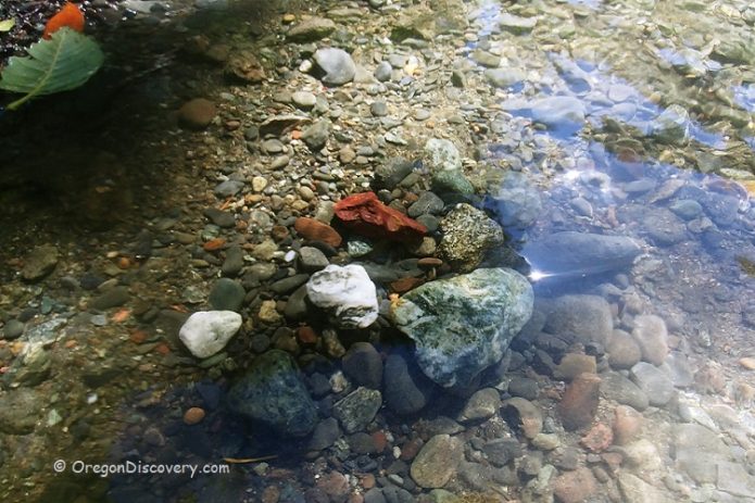 Elk River - Swimming & Rockhounding | Oregon Coast - Oregon Discovery