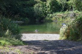 Kilchis River - Swimming | Oregon Coast - Oregon Discovery