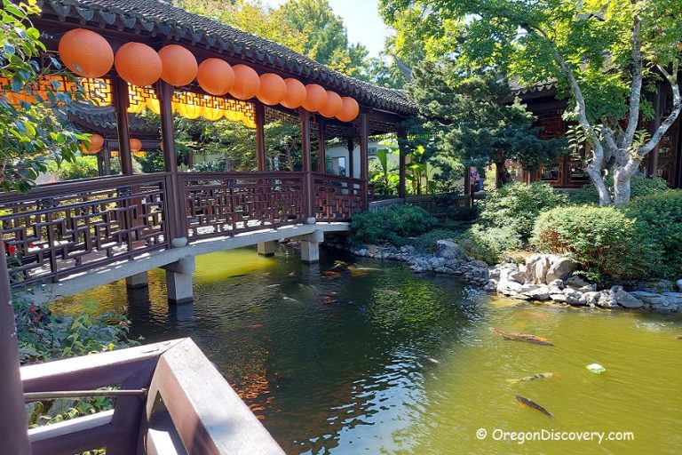 Lan Su Chinese Garden in Old Town - Portland Downtown - Oregon Discovery