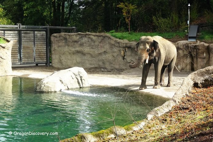 Oregon Zoo in Washington Park | Portland - Oregon Discovery