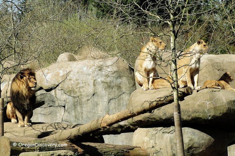 Oregon Zoo in Washington Park | Portland - Oregon Discovery