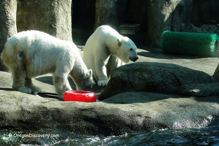 Oregon Zoo in Washington Park | Portland - Oregon Discovery