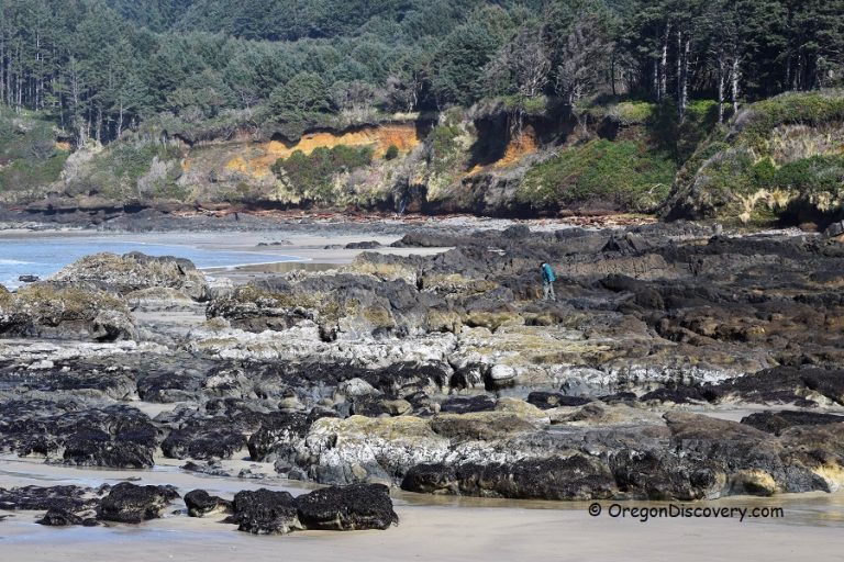 Neptune State Scenic Viewpoint - A Gem of Central Oregon Coast - Oregon ...