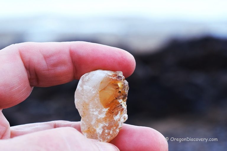 Beachcombing - Rockhounding, Tidepool Exploring, & Other Activities ...