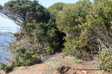 Stonefield Beach | Oregon Coast - Oregon Discovery