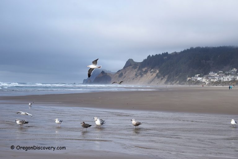 Roads End Beach in Lincoln City - Oregon Coastal Adventures - Oregon ...