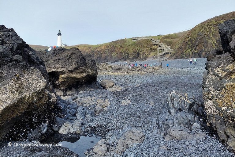 Cobble Beach - Oregon Coast Natural Wonder - Oregon Discovery