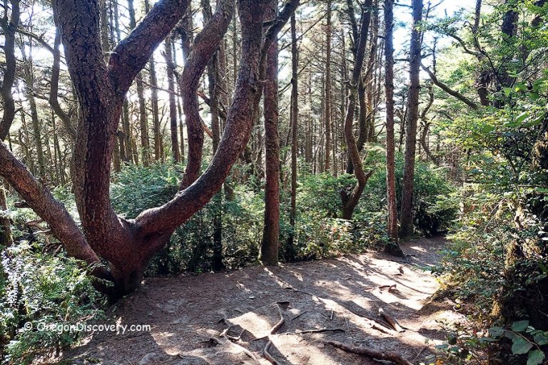 Hobbit Beach - A Piece of the Middle-Earth on the Oregon Coast - Oregon ...