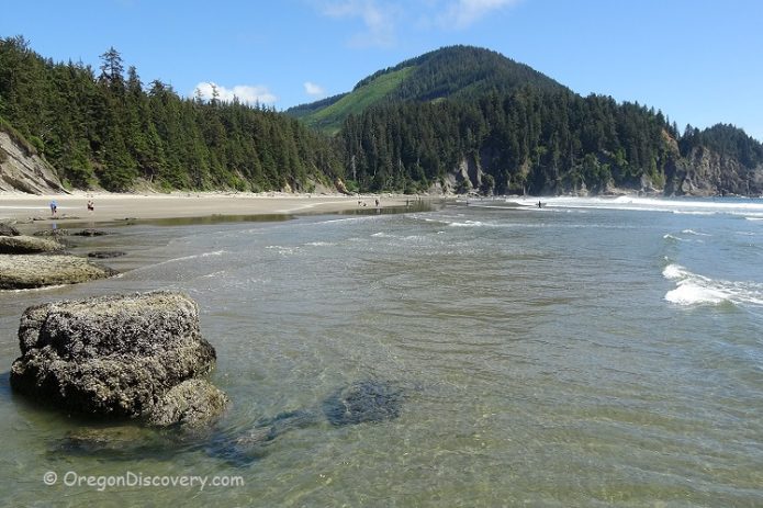 Short Sand Beach - A Secluded Shoreline in Oswald West State Park ...