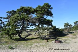 Sand Lake Recreation Area - A Dune Paradise at the Ocean - Oregon Discovery