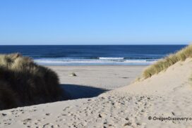 Nehalem Bay State Park - The Oceanfront Park with a Fly-in Campground ...