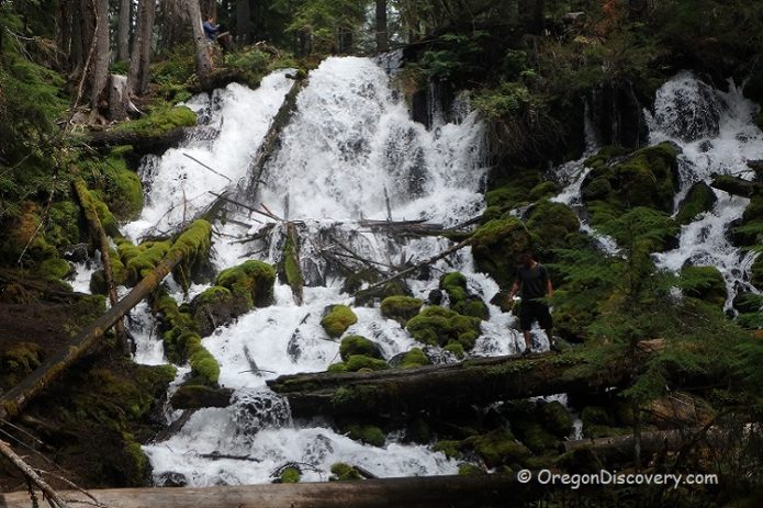 Clearwater Falls - Ice-Cold Waterfall in a Lush Forest of Oregon ...