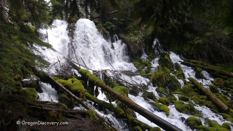 Clearwater Falls - Ice-Cold Waterfall in a Lush Forest of Oregon ...