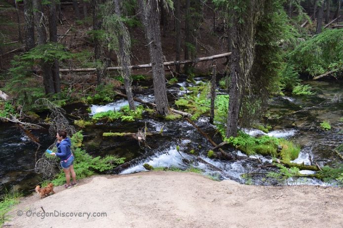 Clearwater Falls - Ice-Cold Waterfall in a Lush Forest of Oregon ...