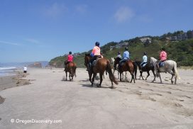 Winema Beach: A Secluded Coastal Gem near Pacific City - Oregon Discovery