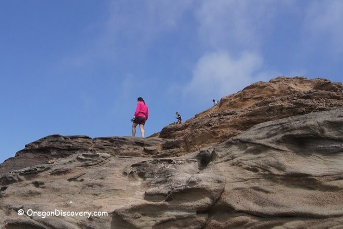 Neskowin Beach: Ancient Ghost Forest at Proposal Rock - Oregon Discovery