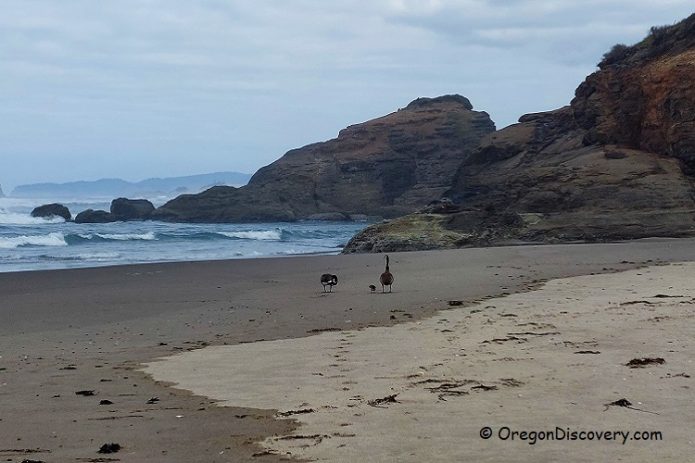 Winema Beach - Secluded Sandy Shore at Pacific City - Oregon Discovery