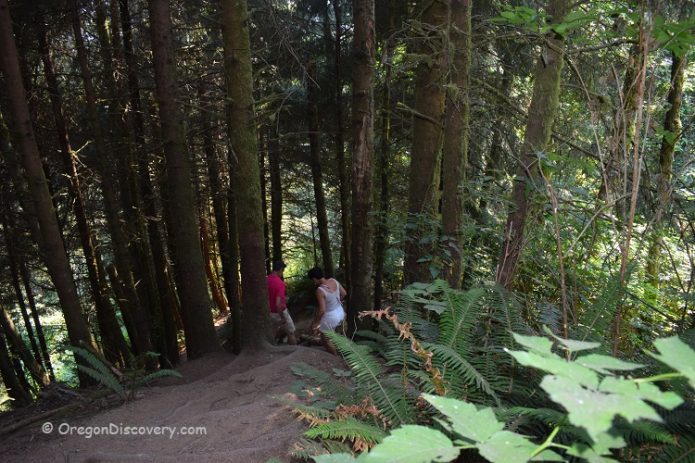 Secret Beach - The Most Stunning Beach on the South Oregon Coast ...
