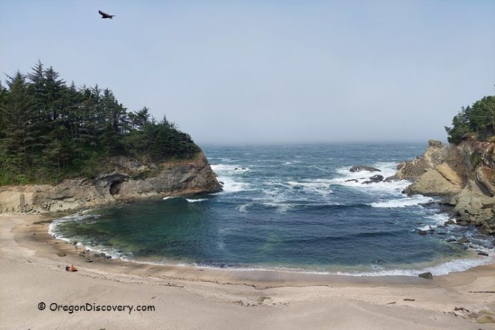 Simpson Beach - A Hidden Gem Of Shore Acres Park! - Oregon Discovery