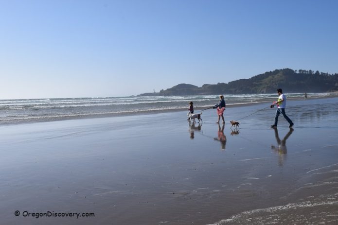 Agate Beach - Rocks, Clams, Surfing, And Endless Coastal Adventures ...