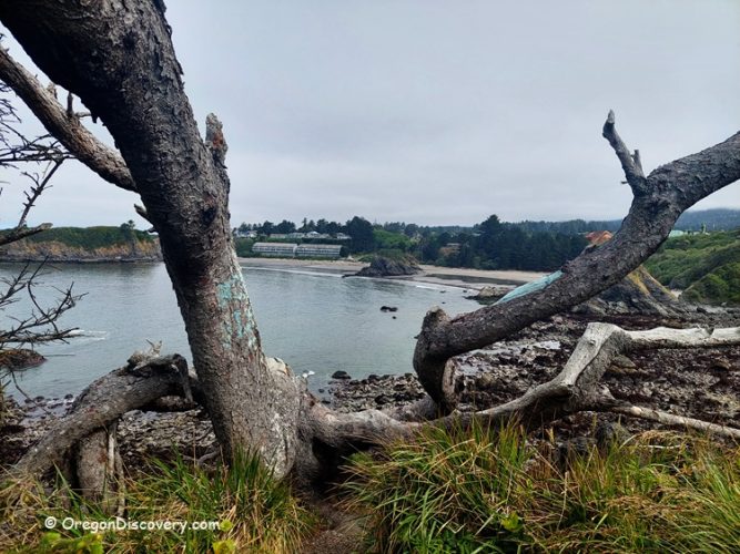 Mill Beach - Secluded Beach with Table Rock and Tidepools! - Oregon ...