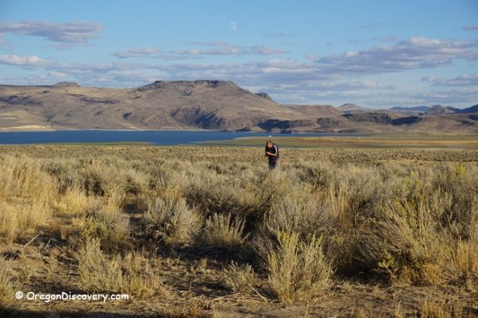 Warm Springs Reservoir Rockhounding: Explore, Discover, Collect ...