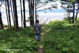 Falcon Cove Beach - Secluded Magic Rocks Beach - Oregon Discovery